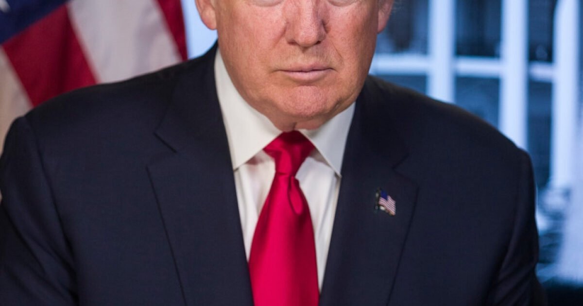 Donald Trump lance une campagne de financement controversée invoquant ...
