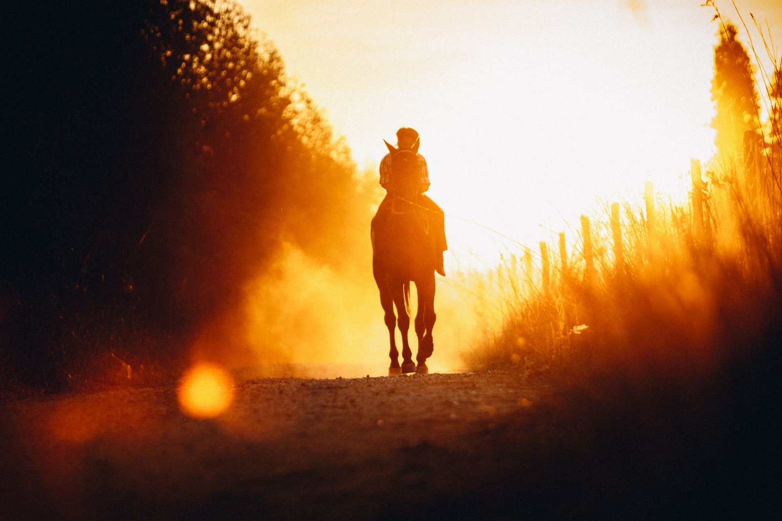 À 56 ans, il relie la Normandie au Gers à cheval en 40 jours